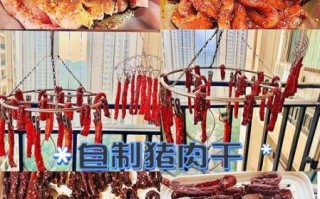 自然风干猪肉干怎么做_风干肉干要多久