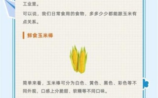 广东甜玉米是转基因吗_甜玉米安全吗
