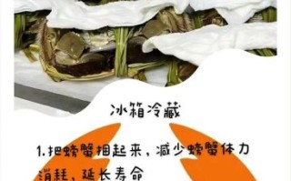 买回来的螃蟹怎么保存_活蟹能放几天