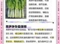 莴笋叶的营养价值_莴笋叶可以生吃吗