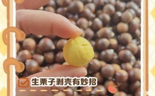 生栗子怎么剥壳快_生栗子去壳最快方法