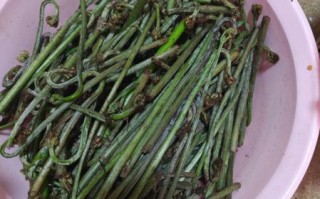 蕨菜是什么菜_蕨菜怎么吃才安全