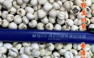 川贝多少钱一克_药店川贝价格