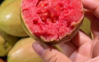 番石榴好吃吗_番石榴口感怎么样