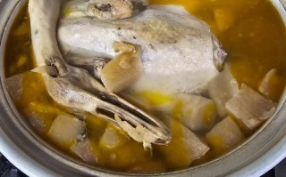 酸萝卜老鸭汤怎么做_酸萝卜老鸭汤的功效