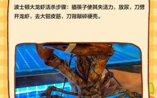 波士顿龙虾怎么处理_波士顿龙虾怎么杀