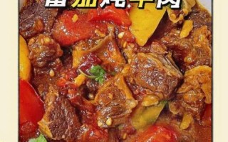 牛肉西红柿怎么炖才好吃_牛肉西红柿炖多久最嫩