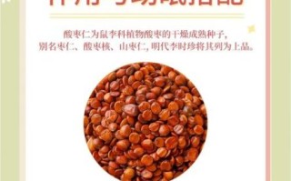 酸枣泡水喝能治失眠吗_酸枣仁助眠效果怎么样