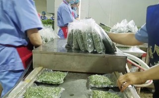 青花椒多少钱一斤_2024最新价格行情