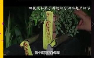 湘西赶尸鬼事之造畜是真的吗_造畜术真相揭秘