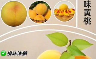 黄桃图库网怎么下载_黄桃图库网收费吗