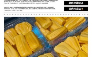 菠萝蜜肉怎么保存_菠萝蜜肉可以冷冻吗