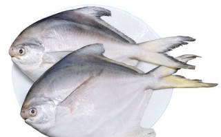 大平鱼是什么鱼_大平鱼多少钱一斤