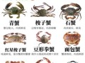 哪些螃蟹有毒_有毒螃蟹名单