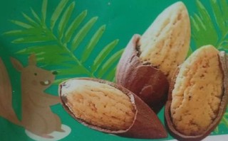 2021年香榧多少钱一斤_香榧价格为什么差距大