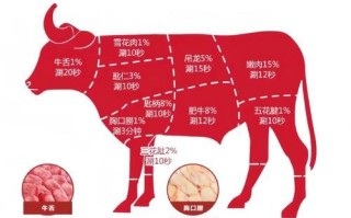牛肉火锅怎么做_牛肉火锅用什么部位最好