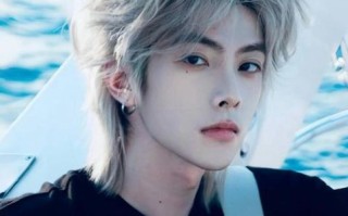 鲶鱼头发型男适合什么脸型_怎么打理不炸毛