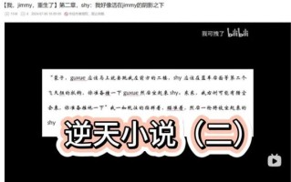 鸡米饭小说是什么_鸡米饭小说好看吗