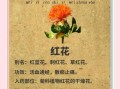 红花有什么功效与作用_红花禁忌人群有哪些