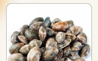 花蛤怎么快速吐沙_花蛤吐沙最快的方法