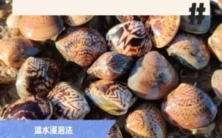 蛤喇怎么保存_蛤喇怎么吐沙干净