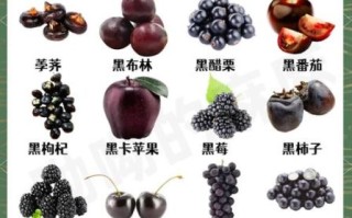 白露吃什么水果好_白露节气水果推荐