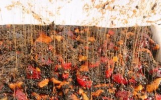 怎样熬制阿胶糕_阿胶糕熬制视频教程