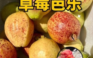 芭乐草莓榴莲哪个热量高_孕妇能吃吗