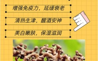 拐枣长什么样_拐枣的功效与作用