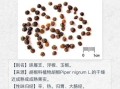 胡椒的功效与作用有哪些_胡椒怎么吃最健康