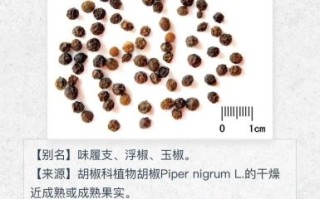 胡椒的功效与作用有哪些_胡椒怎么吃最健康
