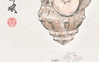 海螺姑娘是什么梗_海螺姑娘梗的由来