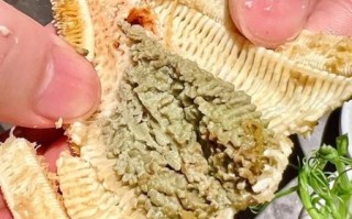 海星煮多久可以吃_海星煮多长时间能熟