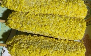 芝士片加热会拉丝吗_芝士片拉丝原理