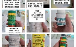 诱鱼最快的西药秘方_真的有用吗