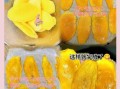 芒果干怎么做_芒果干制作步骤