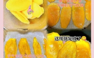 芒果干怎么做_芒果干制作步骤