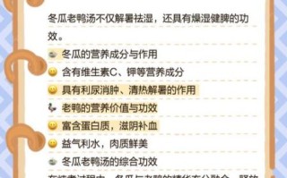 冬瓜老鸭汤的做法_冬瓜老鸭汤的功效