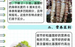 基围虾和斑节虾哪个贵_价格差异原因