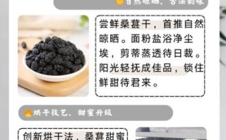 桑葚干一天吃多少合适_桑葚干怎么吃效果最好