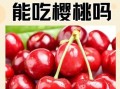 糖尿病人能吃樱桃吗_樱桃升糖指数是多少