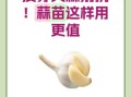 大蒜发芽了还能吃吗_大蒜发芽了怎么处理