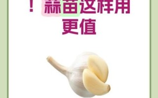 大蒜发芽了还能吃吗_大蒜发芽了怎么处理