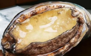 冷冻鲍鱼的做法有哪几种_冷冻鲍鱼怎么做好吃