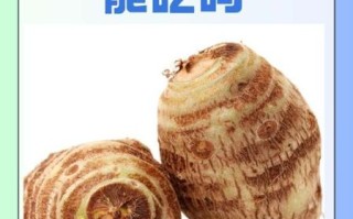 芋头减肥能吃吗_芋头热量高吗