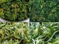 蒸面条菜的做法大全_蒸面条菜怎么做好吃
