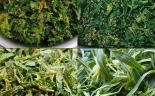 蒸面条菜的做法大全_蒸面条菜怎么做好吃