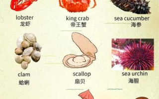 蛤蜊怎么读_蛤蜊读ga还是ge