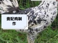 贵妃鸡的功效与作用_贵妃鸡的禁忌有哪些