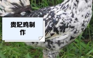 贵妃鸡的功效与作用_贵妃鸡的禁忌有哪些